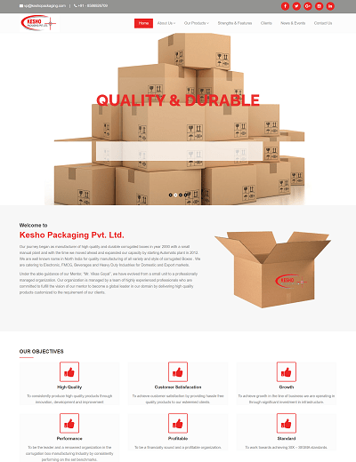 Web Smile India - Best IT Company In Noida